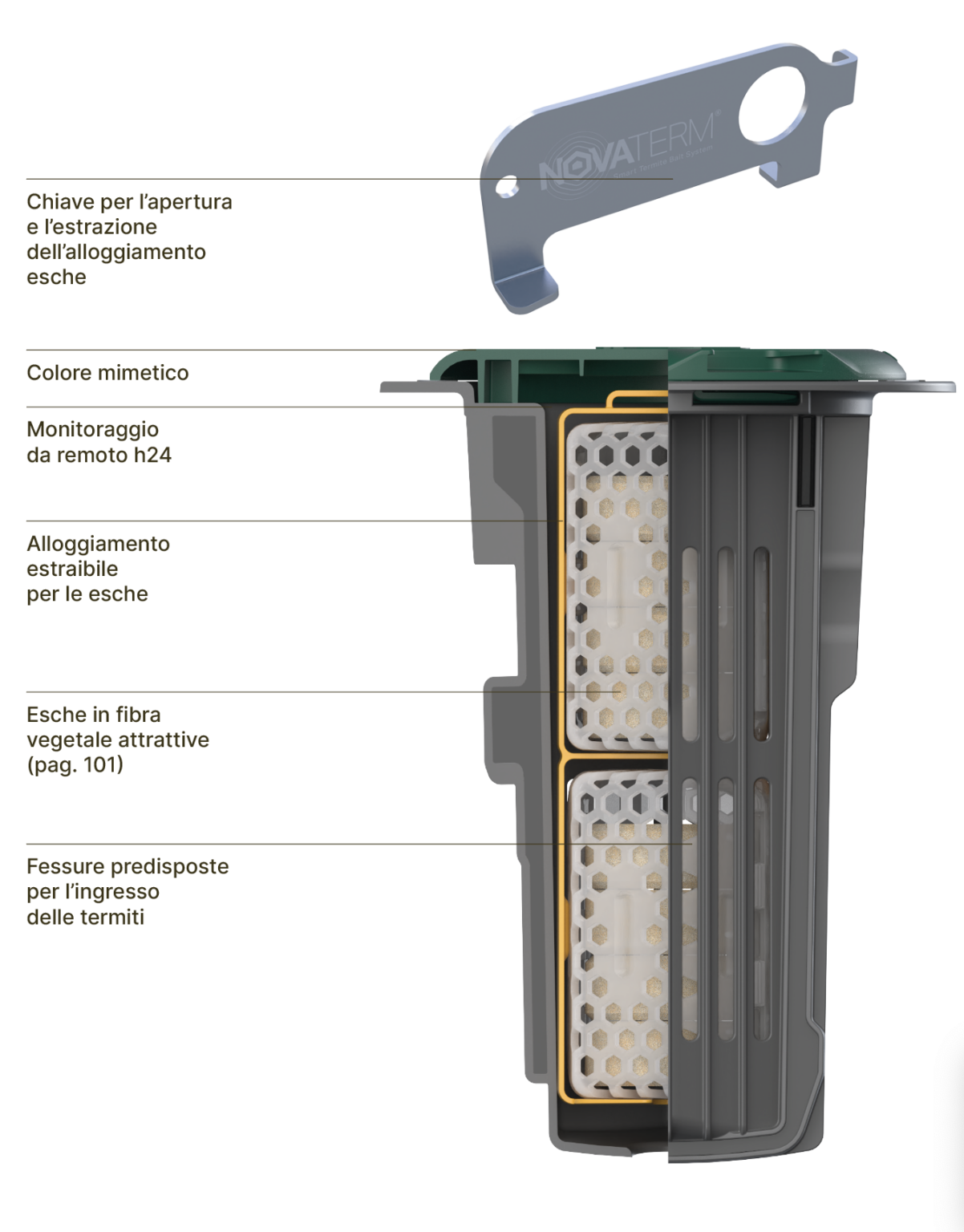 Protezione Avanzata contro le Termiti: Il Sistema Novaterm® - Newpharm