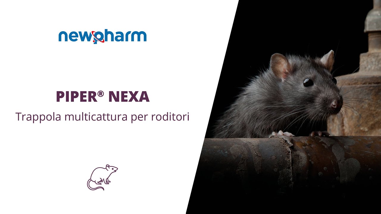 Piper® LIMITLESS - Newpharm